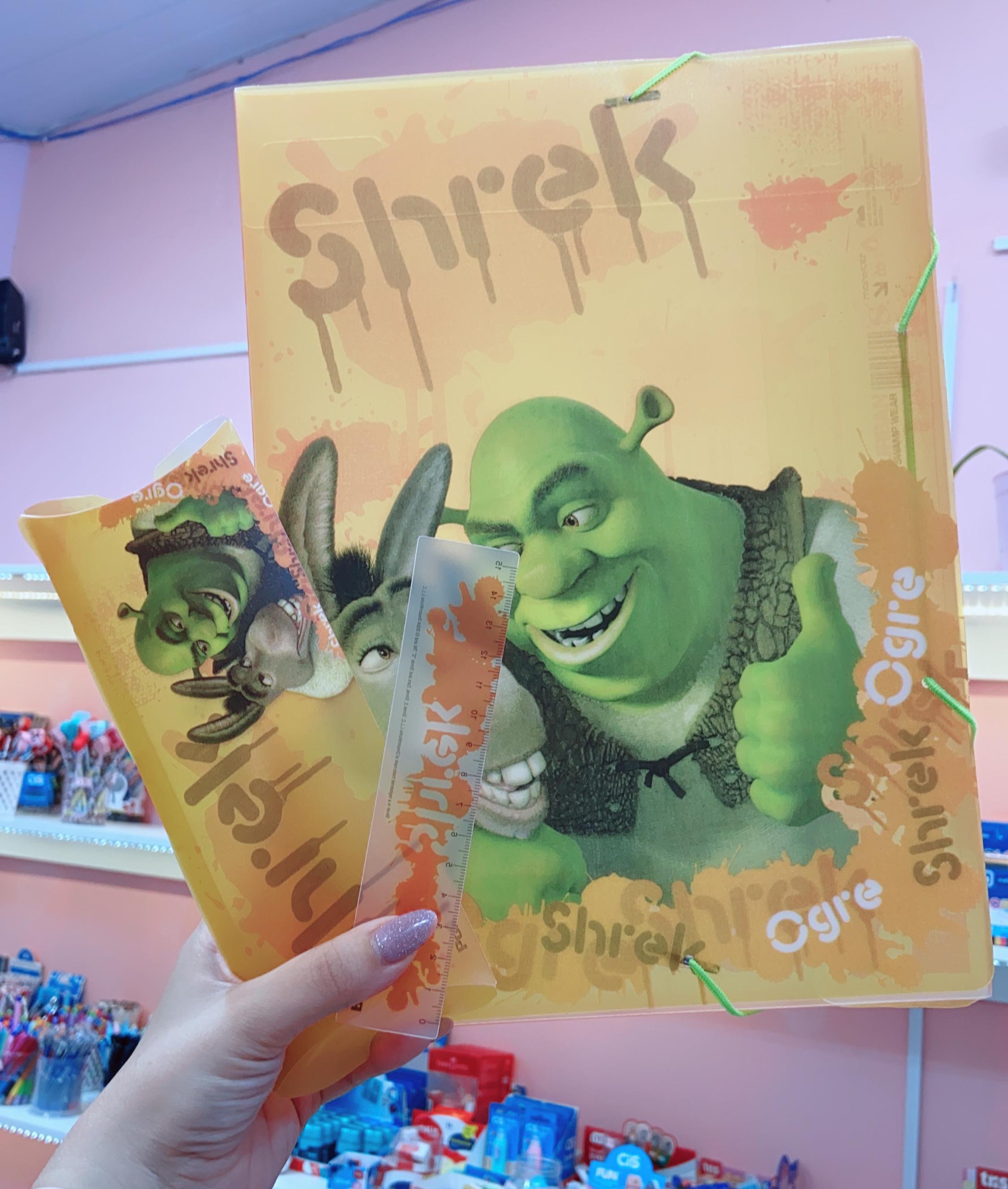 Pasta Vintage Grossa Shrek + Estojo e Régua | @Mimosstori