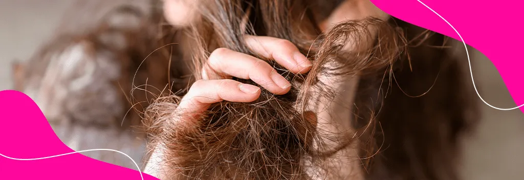 Veja 7 passos para recuperar os Cabelos secos e quebrados | HairFly