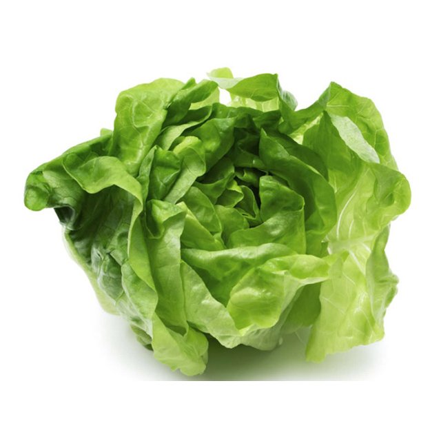 Alface lisa | TaNaPorta.com