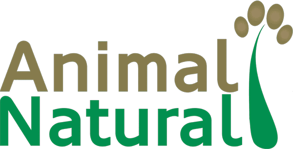 RECEITA NATURAL CASEIRA ANTICOCEIRA PARA PETS | Animal Natural