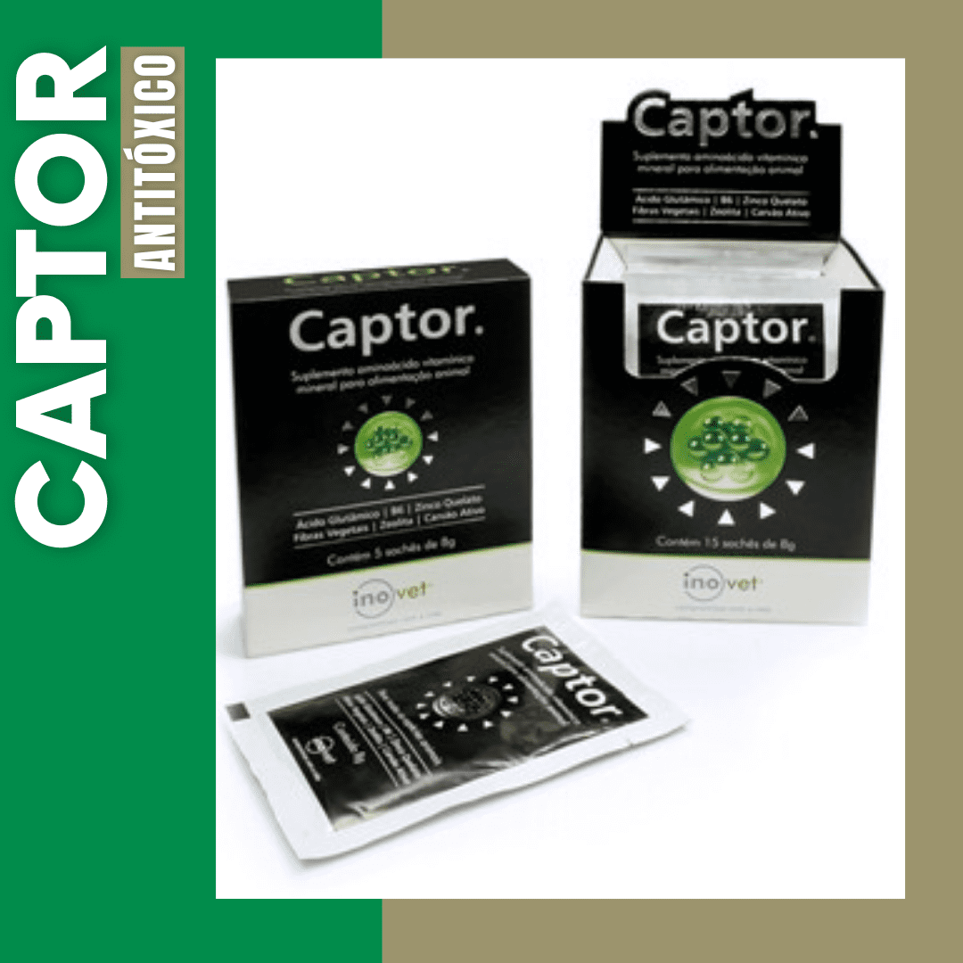 CAPTOR: suplemento antitóxico e detox para cães e gatos | Animal Natural