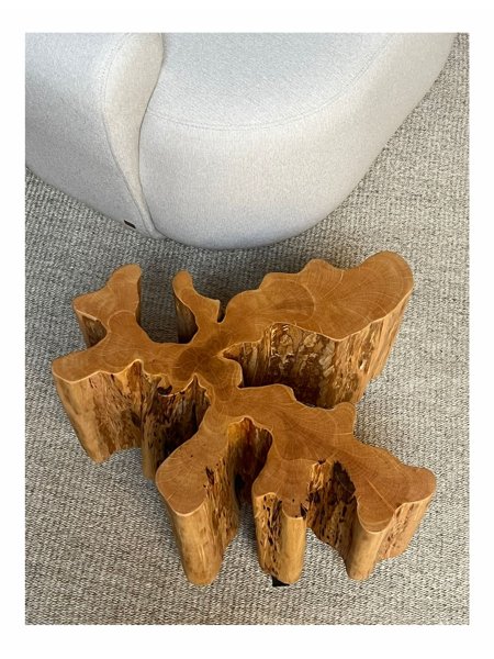 Mesa Nature | Casa Wood