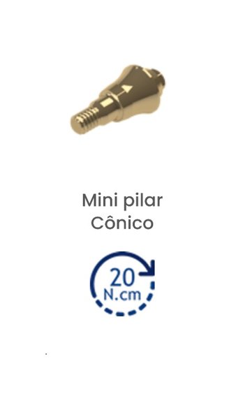 Mini Pilar Cone Morse Cônico Reto Compatível com Implante Straumann® RN ...