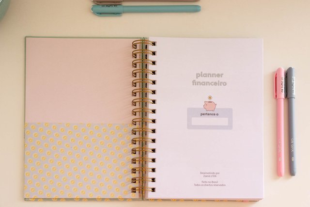 Planner Financeiro | Zaená