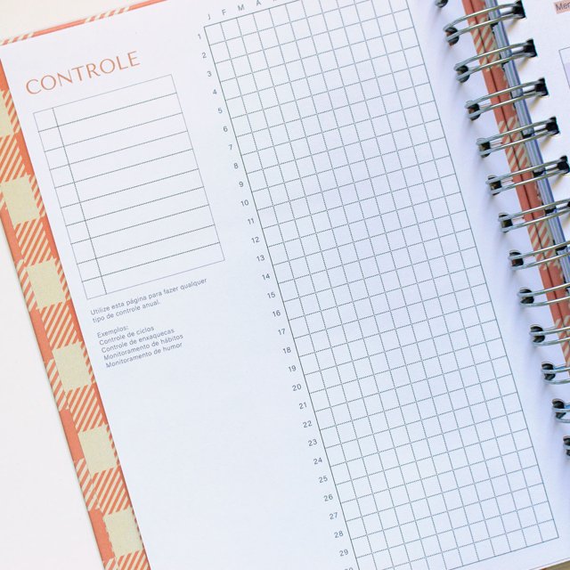 Mini Planner Permanente - Strawberry Moon | Planner Shop