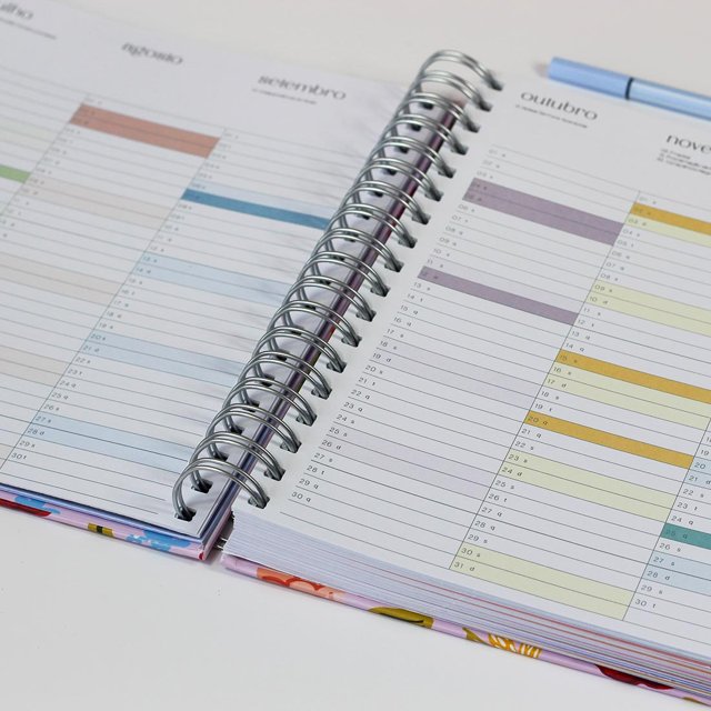 Master Planner 2025 - Escolha sua Capa | Planner Shop