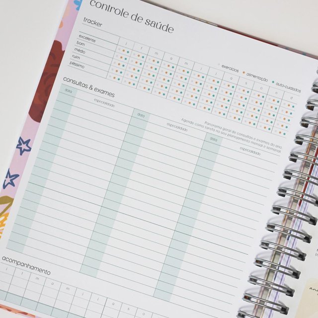 Master Planner 2025 - Escolha sua Capa | Planner Shop