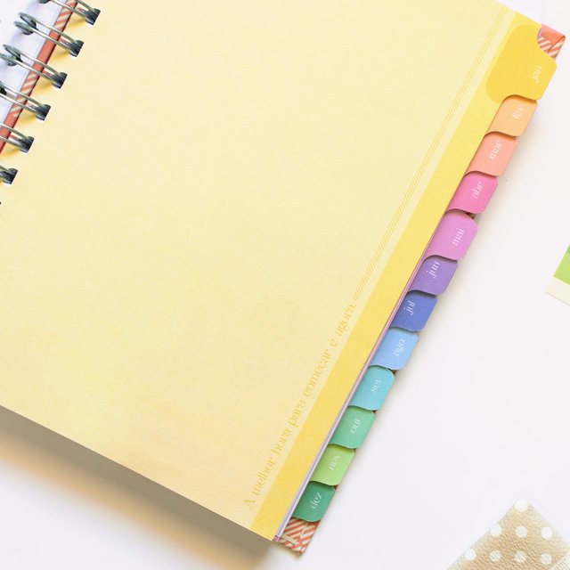 Mini Planner Permanente - Ruby Flow | Planner Shop