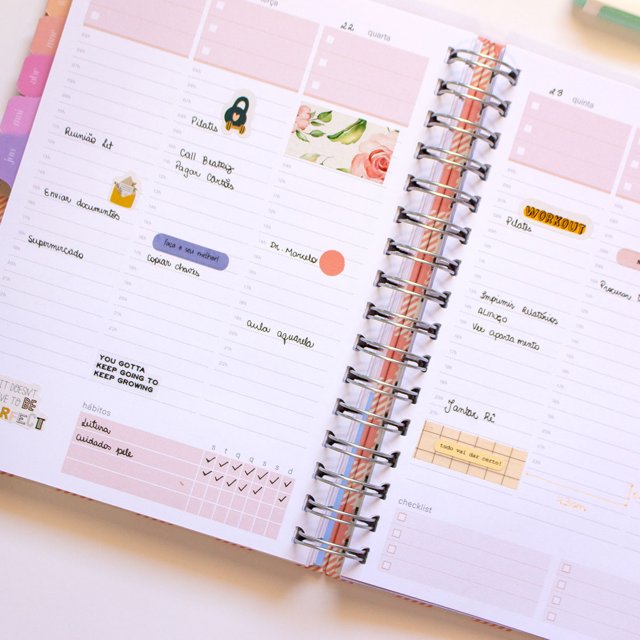 Mini Planner Permanente - Strawberry Moon | Planner Shop