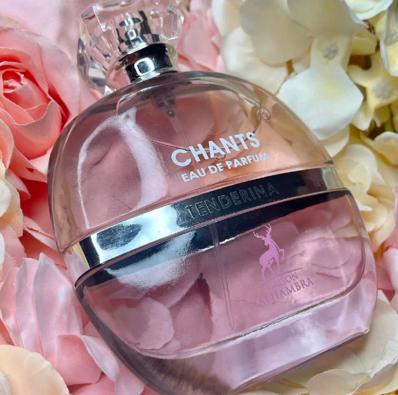 Chants Tenderina Eau De Parfum 100ml | Sweet perfumery