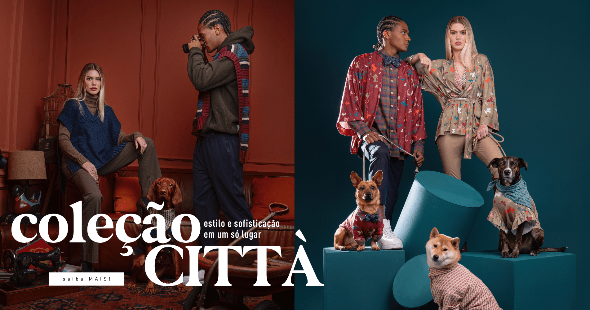 ZAMPE | Moda e Acessórios de Luxo para Cães e Gatos