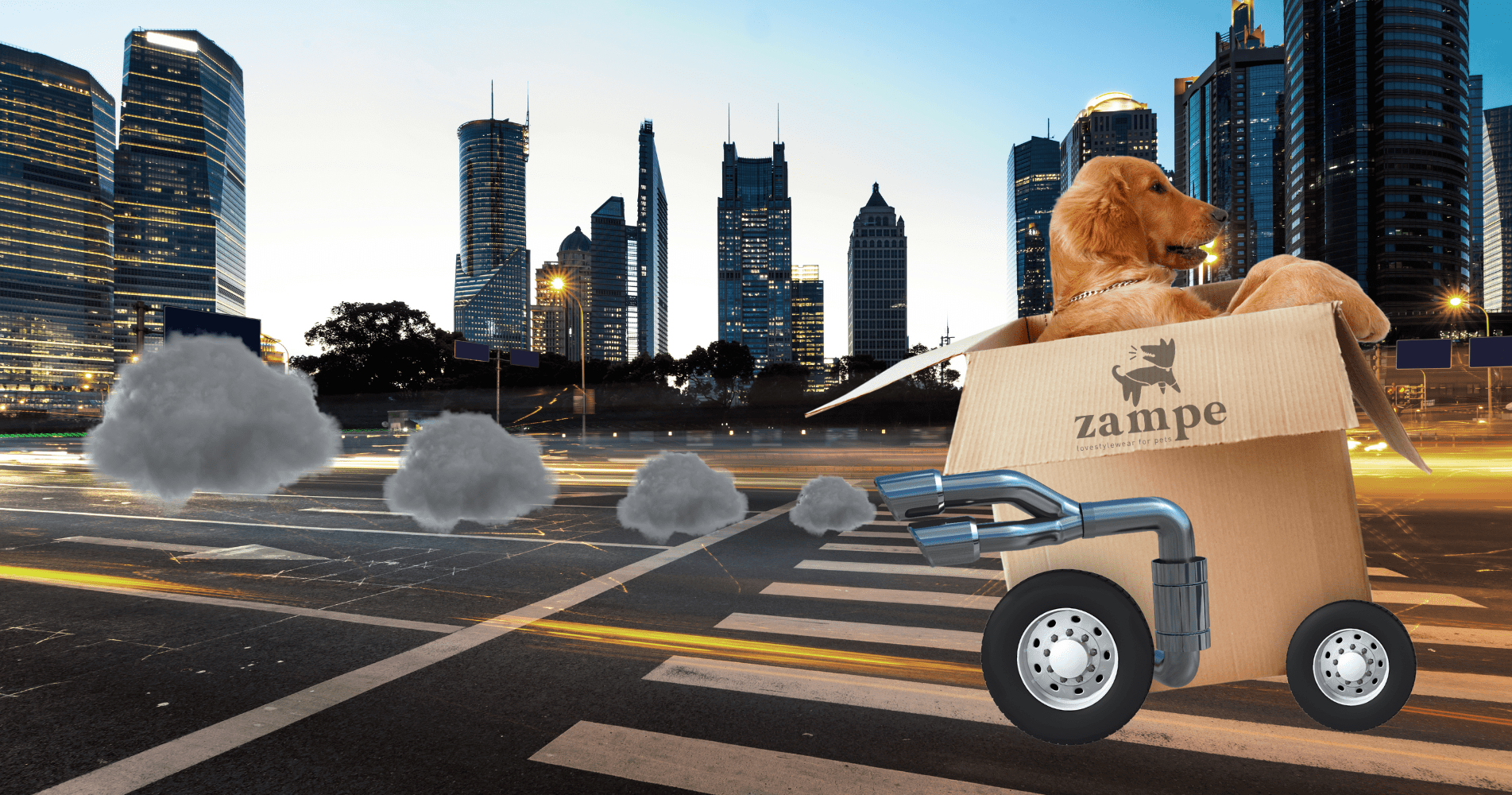 ZAMPE | Moda e Acessórios de Luxo para Cães e Gatos