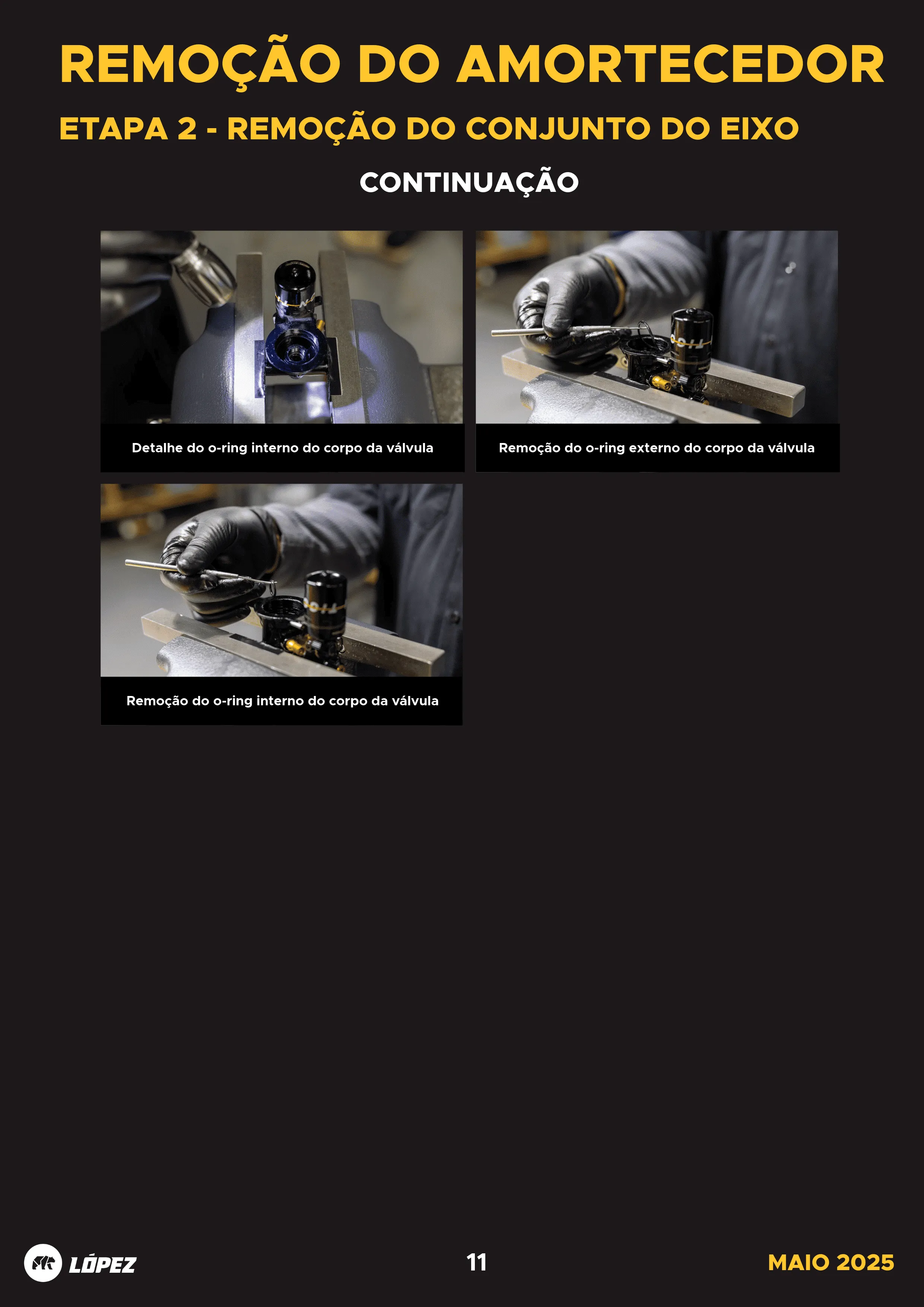 Manual de Instruções Completo - Tigon 100 & 200 Horas | Lopezbike