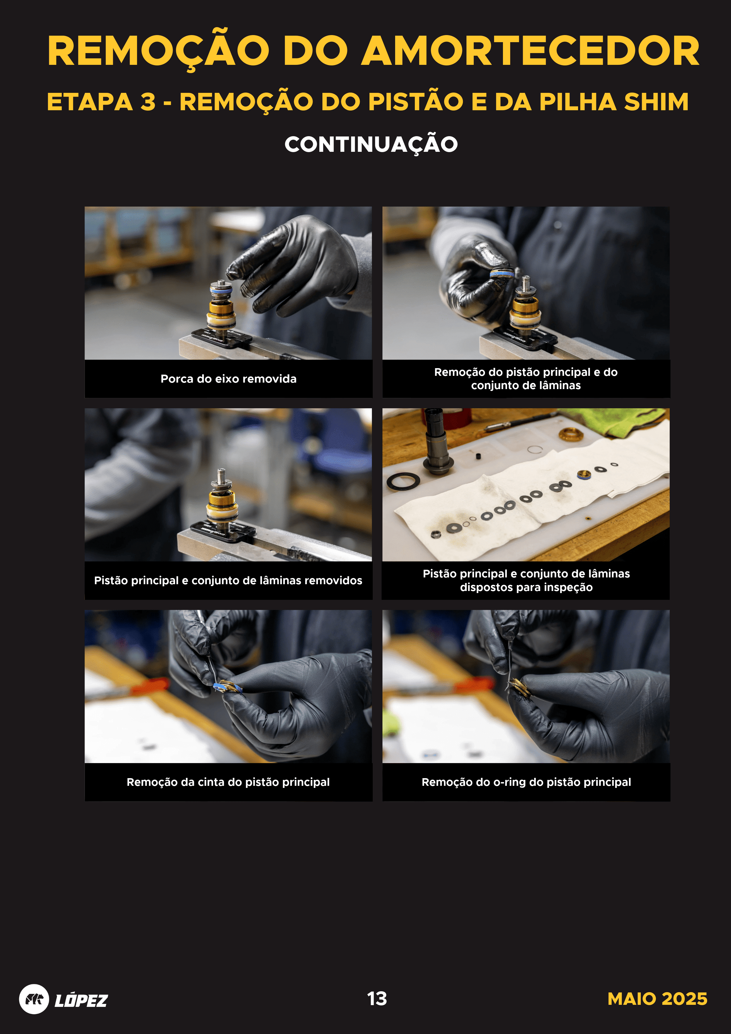 Manual de Instruções Completo - Tigon 100 & 200 Horas | Lopezbike