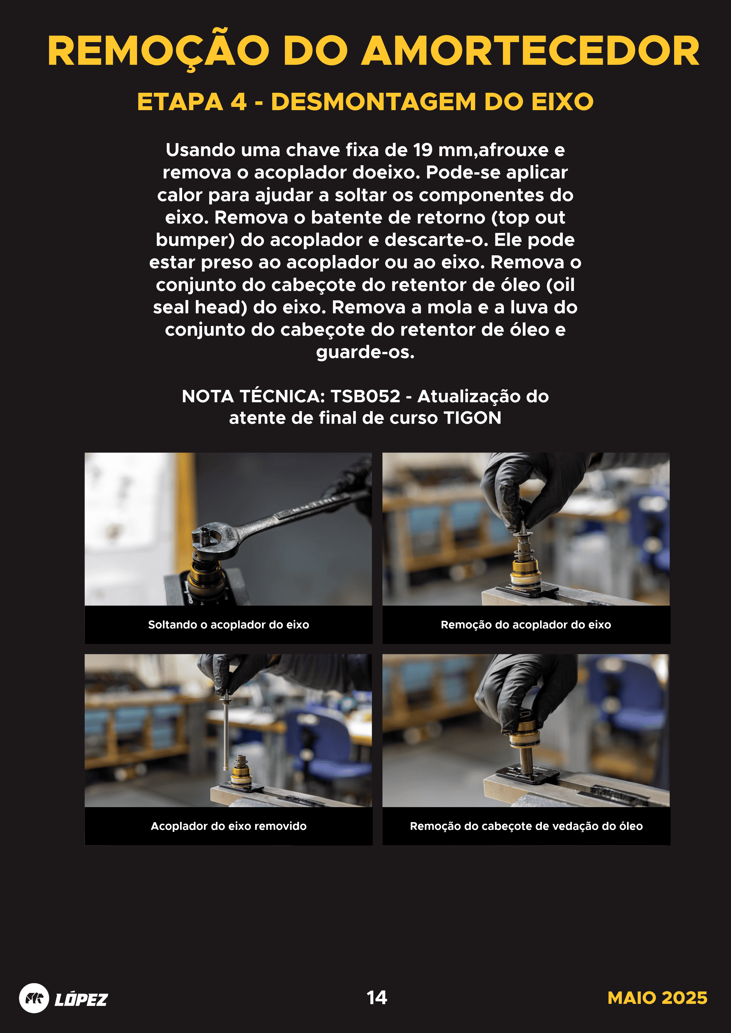 Manual de Instruções Completo - Tigon 100 & 200 Horas | Lopezbike