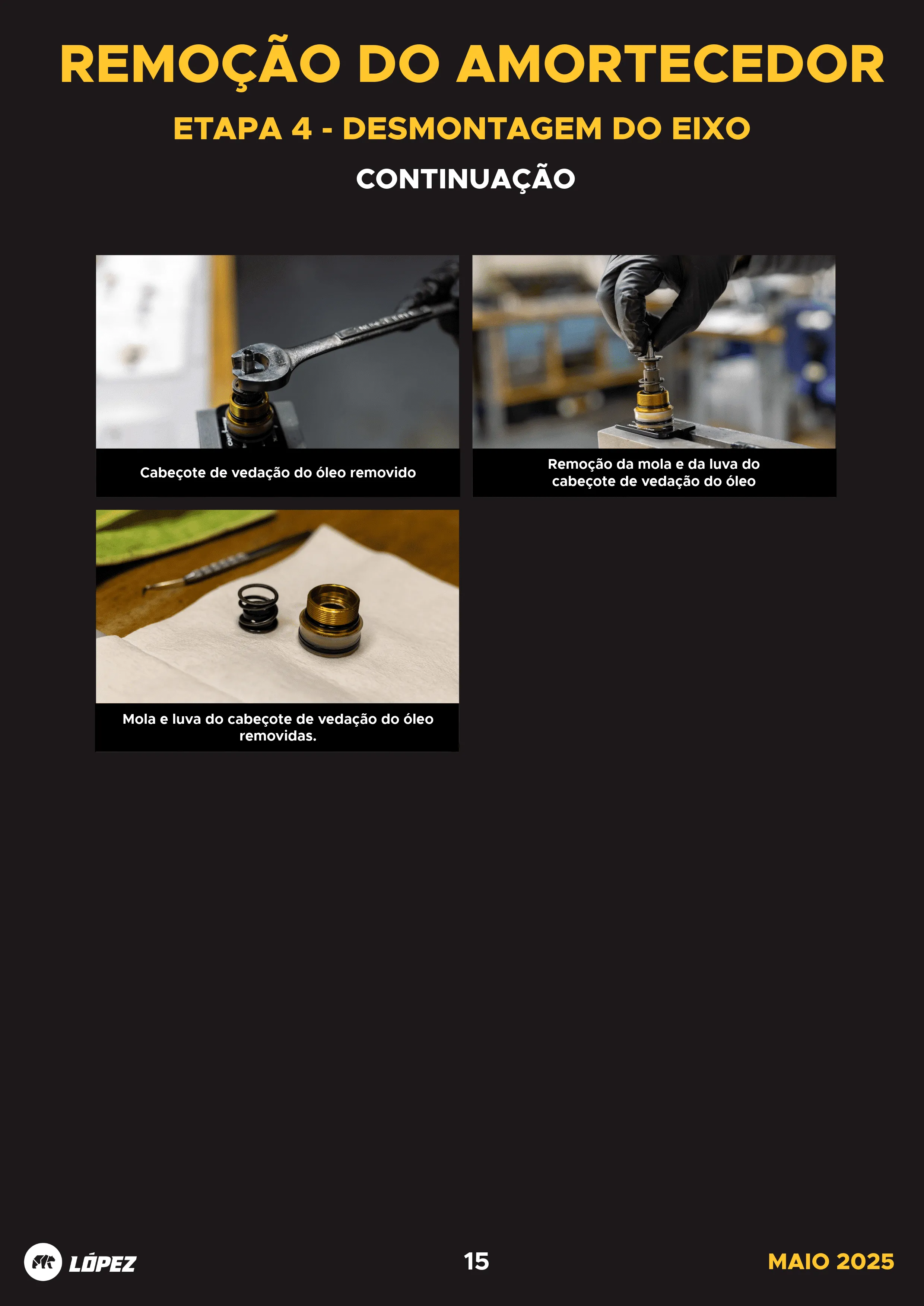 Manual de Instruções Completo - Tigon 100 & 200 Horas | Lopezbike