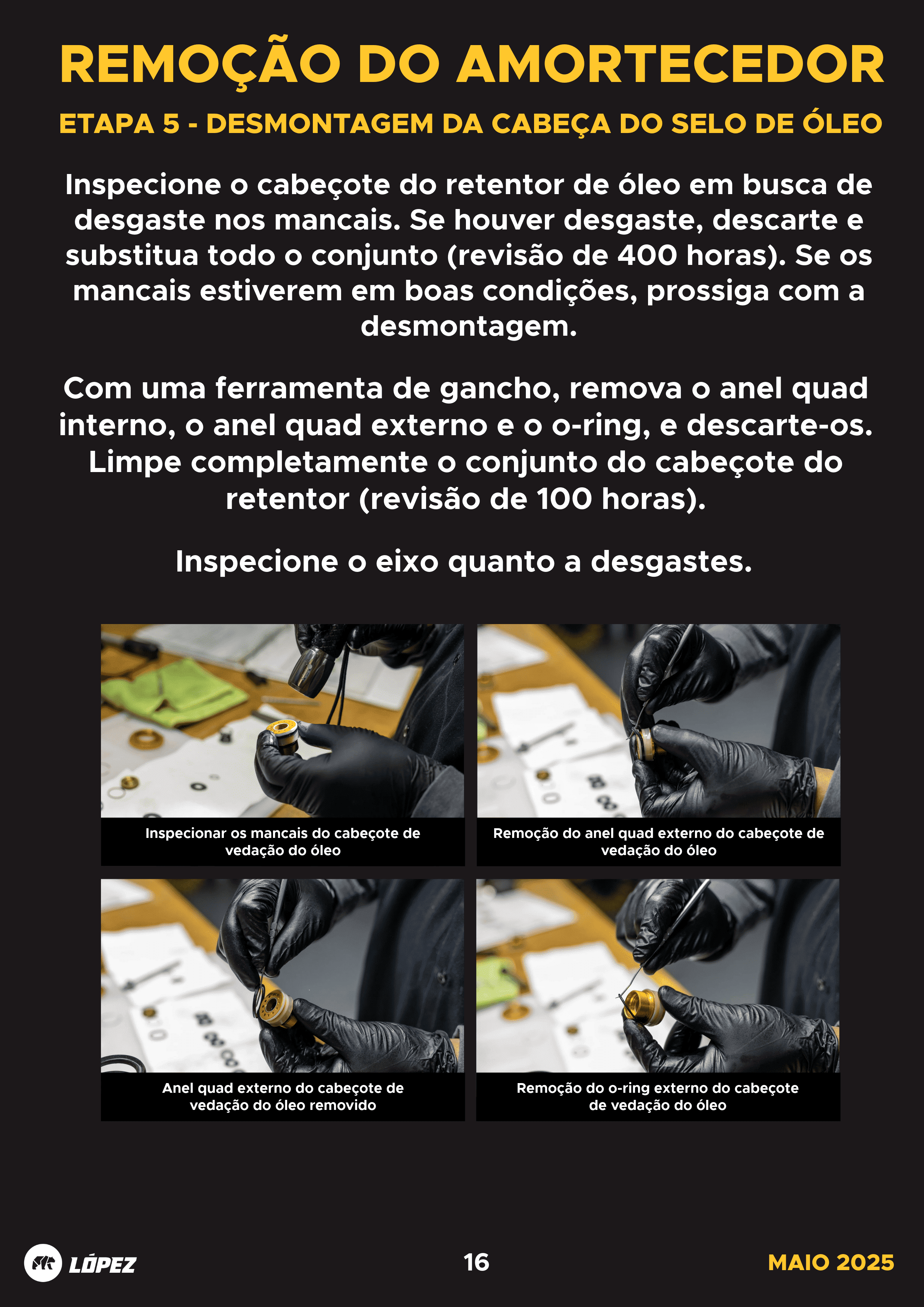 Manual de Instruções Completo - Tigon 100 & 200 Horas | Lopezbike