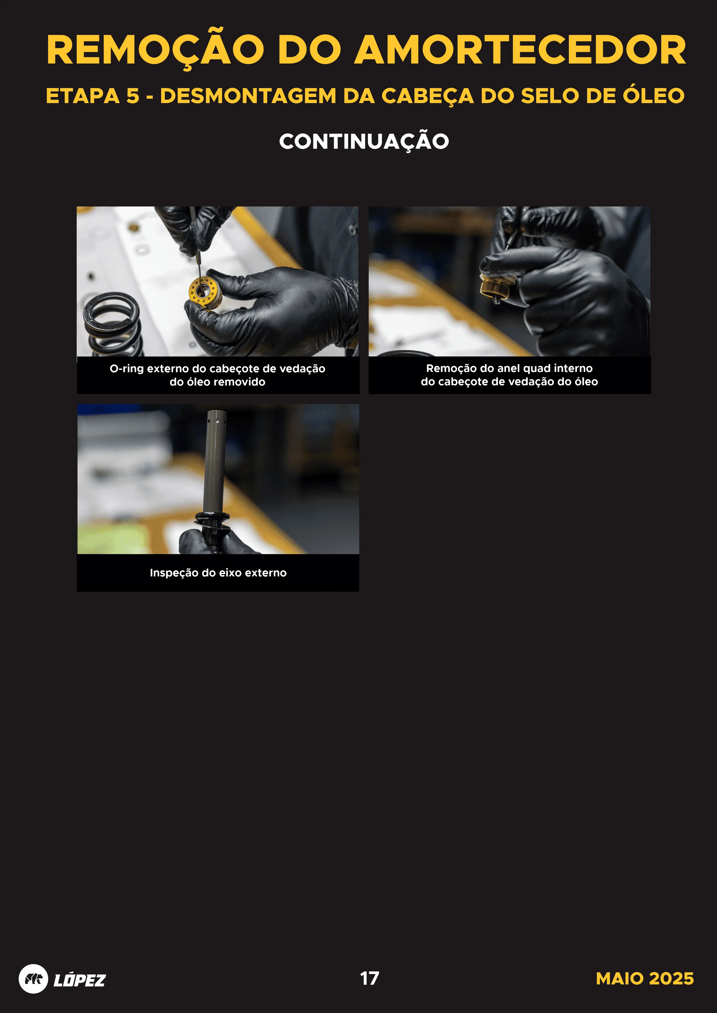 Manual de Instruções Completo - Tigon 100 & 200 Horas | Lopezbike