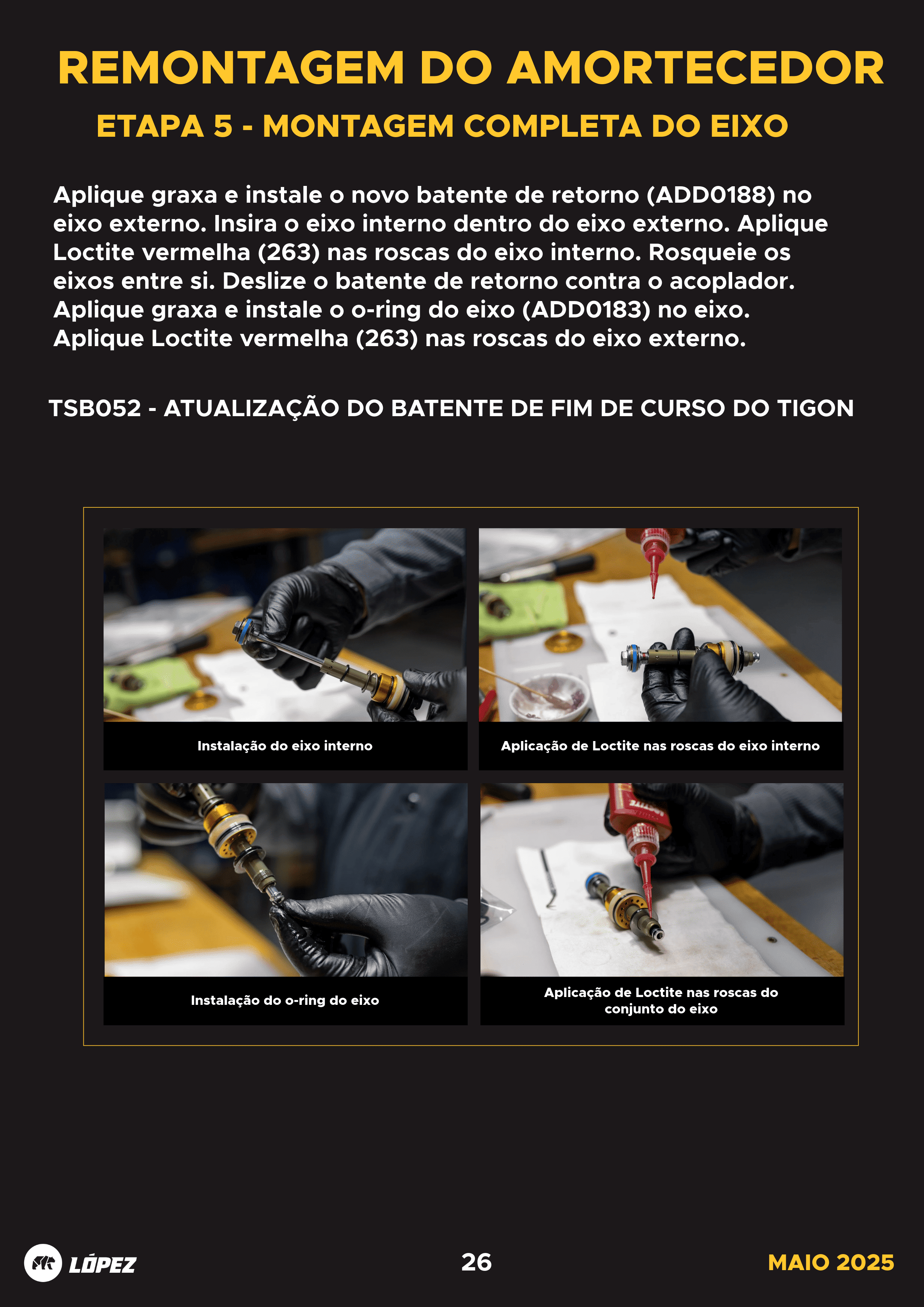 Manual de Instruções Completo - Tigon 100 & 200 Horas | Lopezbike