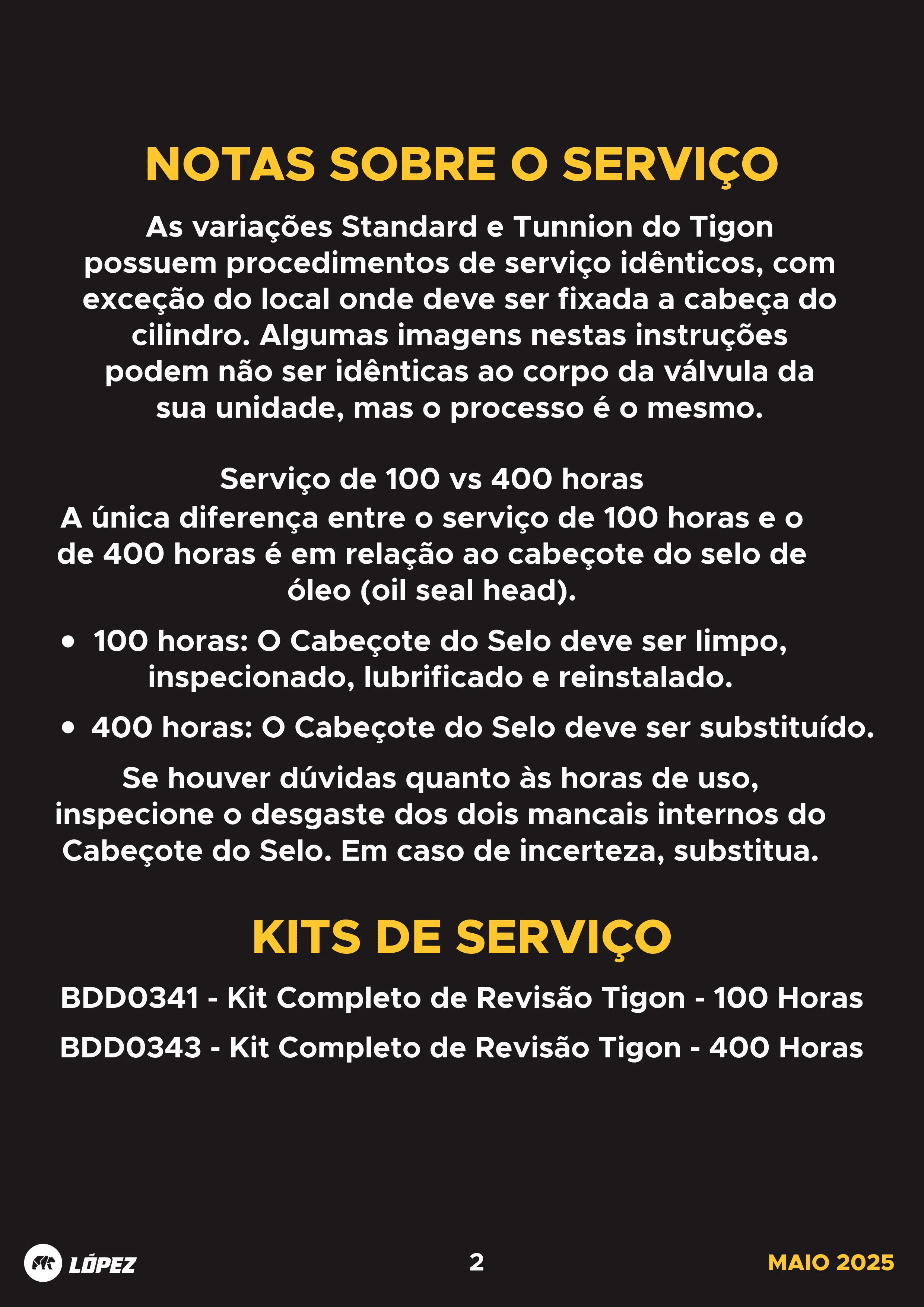 Manual de Instruções Completo - Tigon 100 & 200 Horas | Lopezbike