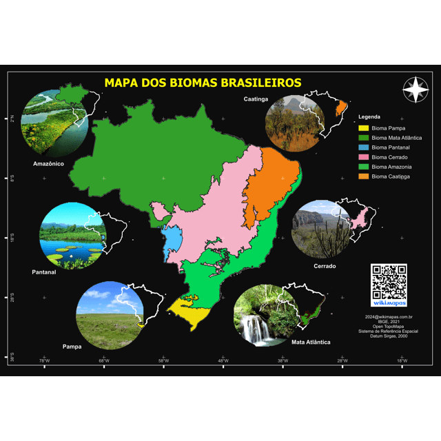 Mapa Artístico Biomas do Brasil | wikimapas