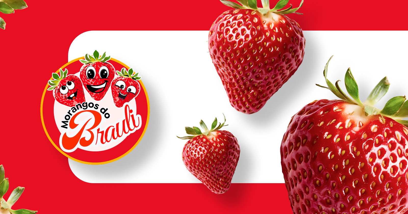 Morangos do Brauli | Frescor e Qualidade Direto do Produtor