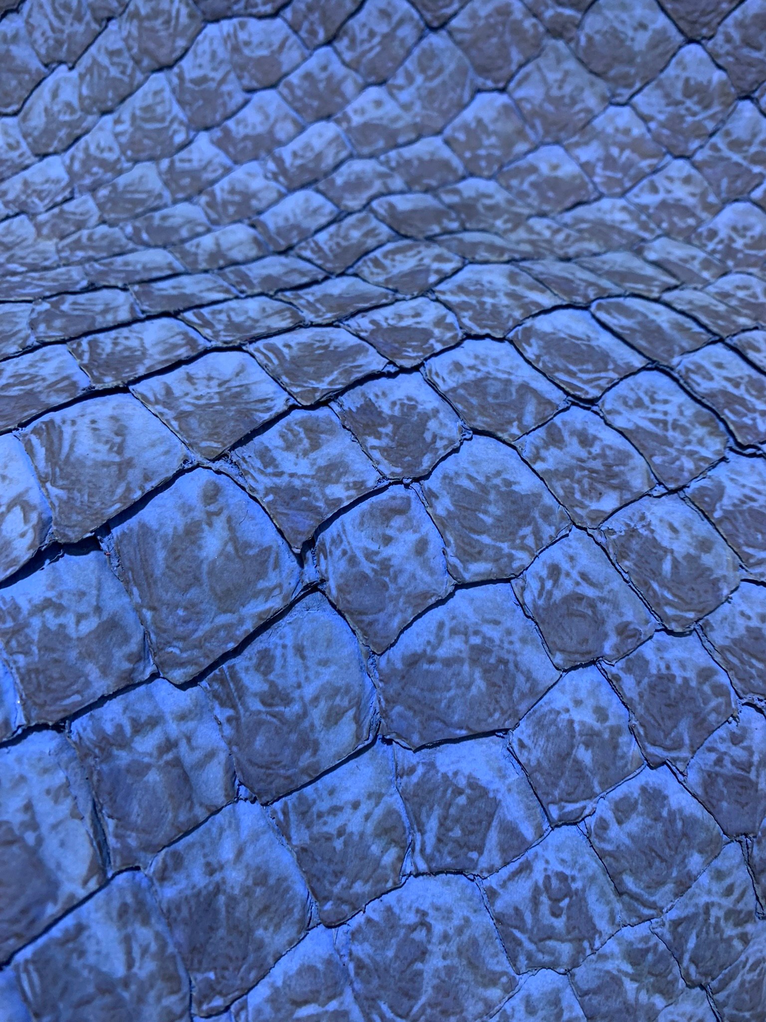 COURO DE PIRARUCU LL | Sculp Leather Store