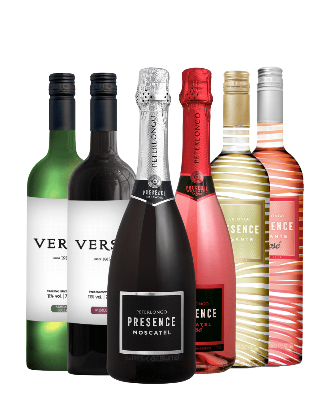 Box Mundo Novo - 6 unidades | Peterlongo