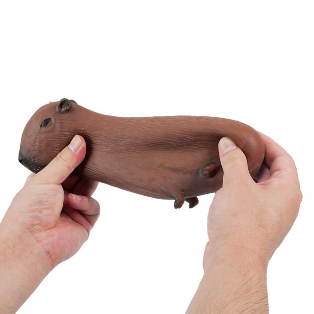 Capivara Divertida | Lept Sensorial