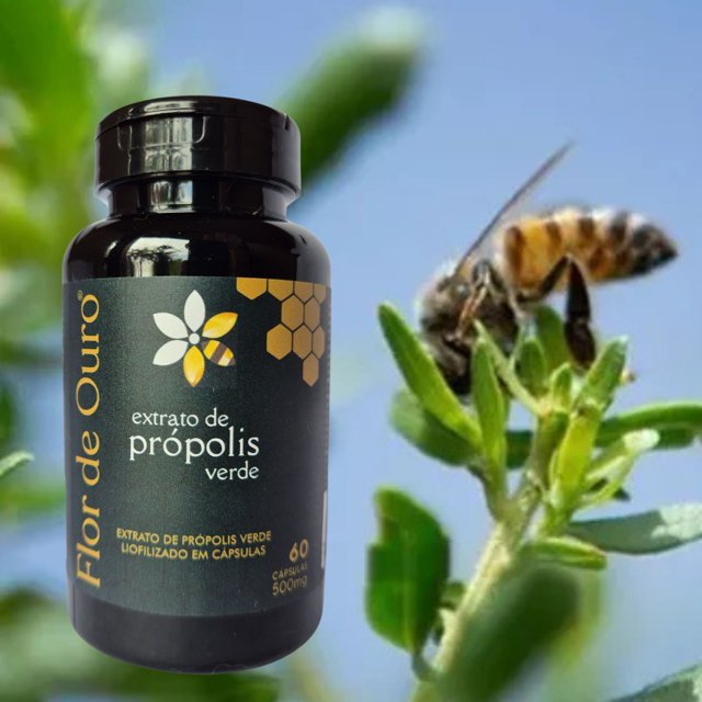 CAPSULAS PROPOLIS VERDE 500 mg - O PODEROSO | Flor de Ouro - Mel de Abelha