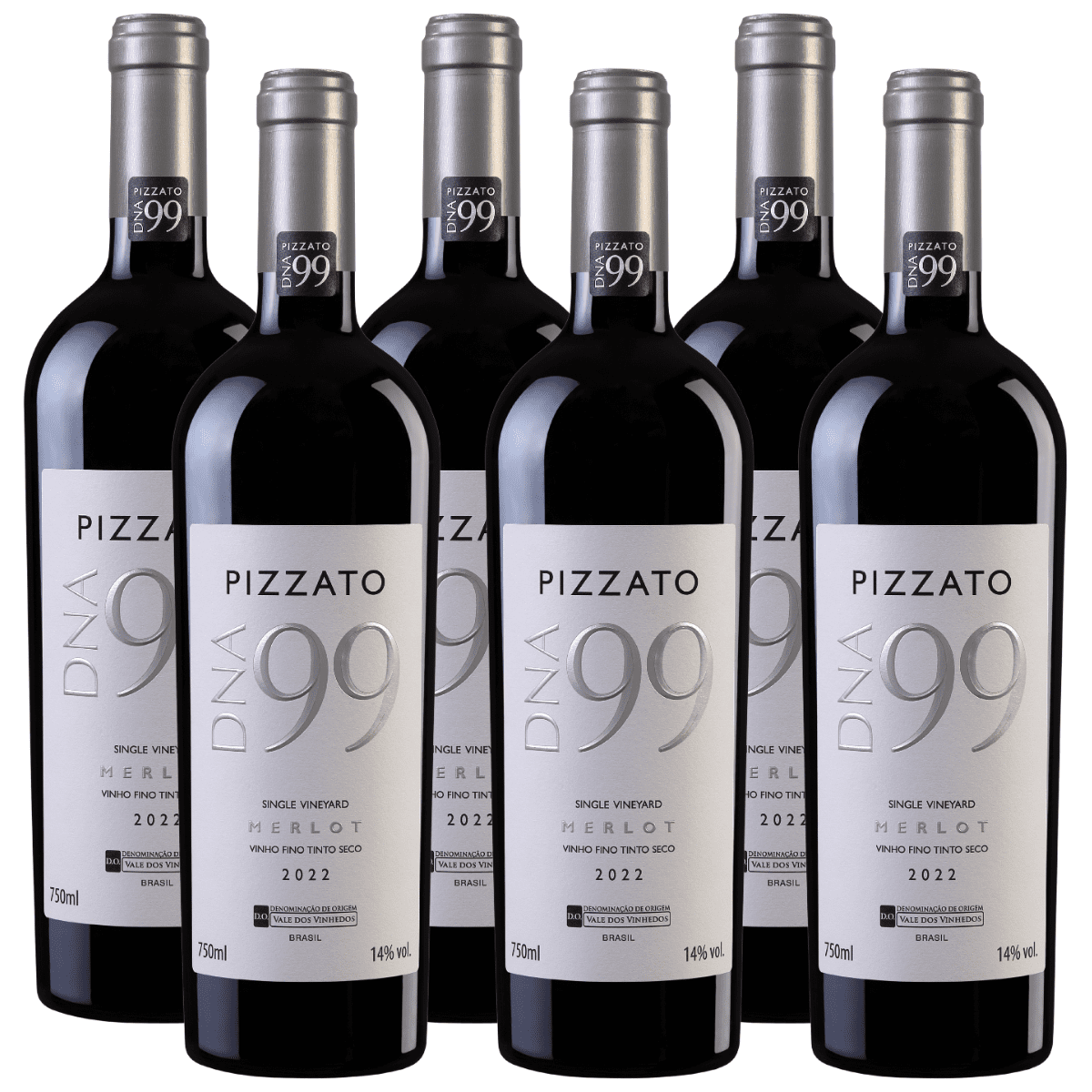 Vinho DNA99 Merlot Pizzato Safra 2022 - Caixa 6 | Adega R2