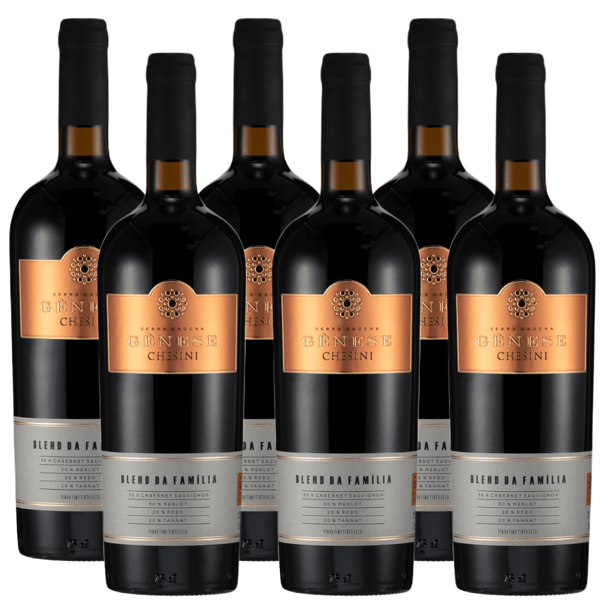 Vinho Tinto Gênese Blend da Família Adega Chesini - Caixa 6 | Adega R2