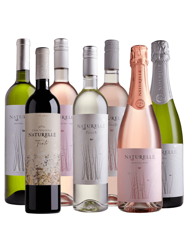 Kit de Vinhos e Espumantes Suave Naturelle Casa Valduga | Adega R2