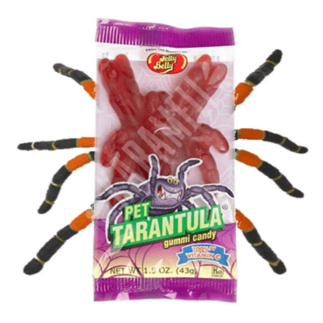 Pet Tarantula Gummi Candy - Jelly Belly - Importado | Karamell Store