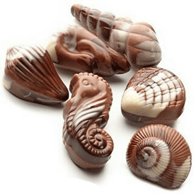 Donckels - Bombons Seashells Chocolate Belga Avelãs | Karamell Store