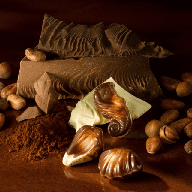Donckels - Bombons Seashells Chocolate Belga Avelãs | Karamell Store