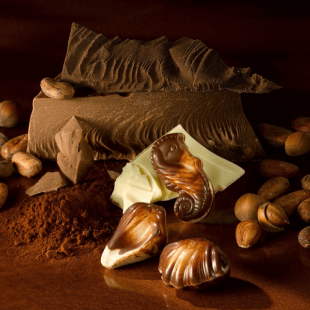 Donckels - Bombons Seashells Chocolate Belga Avelãs | Karamell Store