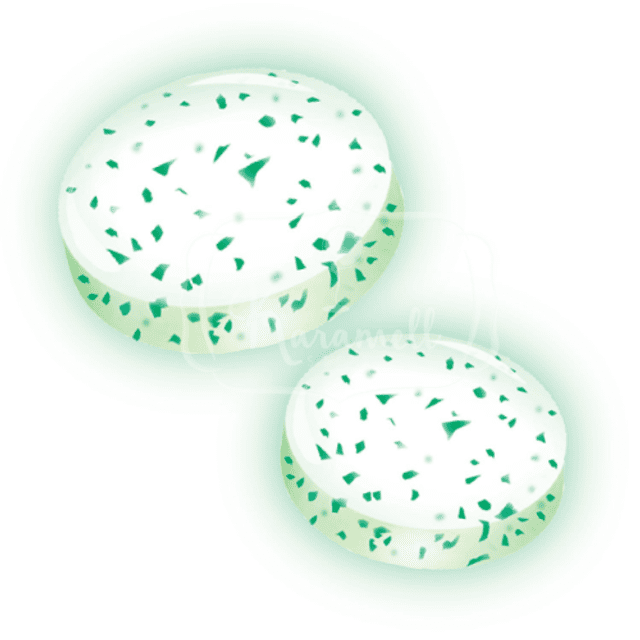 Ice Breakers SPEARMINT Sugar Free Mints Hortelã | Karamell Store