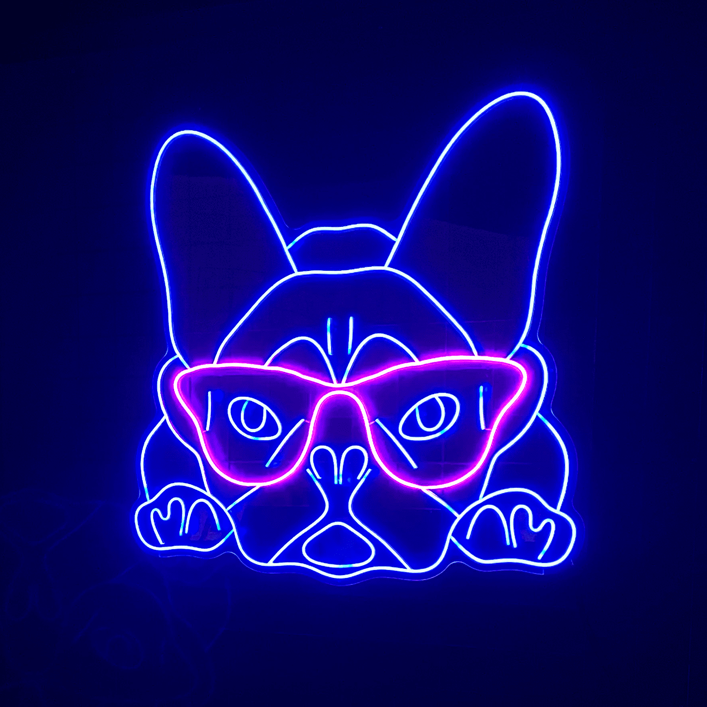 Neon Led - BULLDOG | Atacado neon