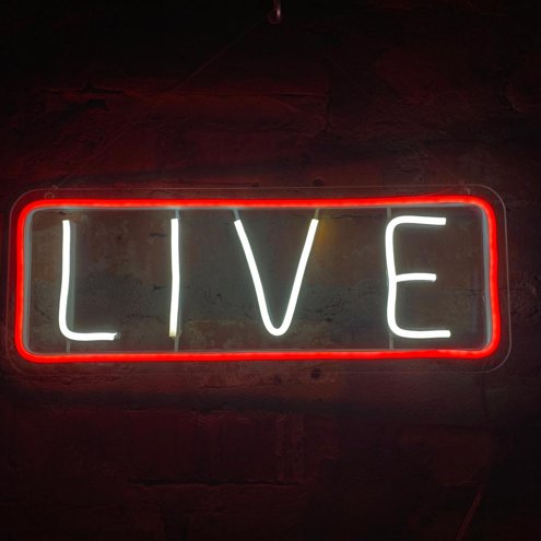 Placa Luminária Neon Led - LUZ - 40x15cm | Atacado Neon
