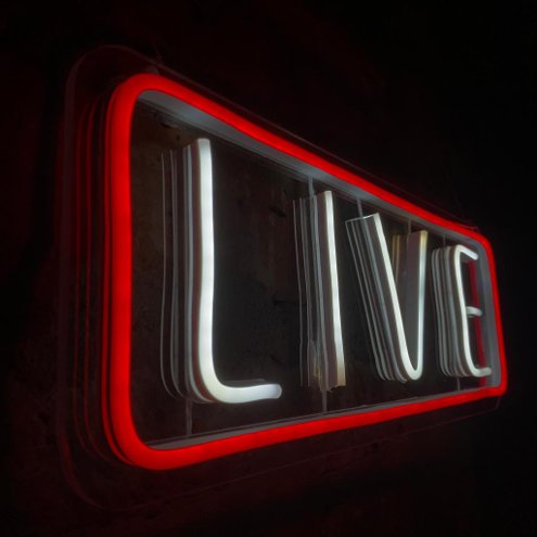 Placa Luminária Neon Led - LUZ - 40x15cm | Atacado Neon