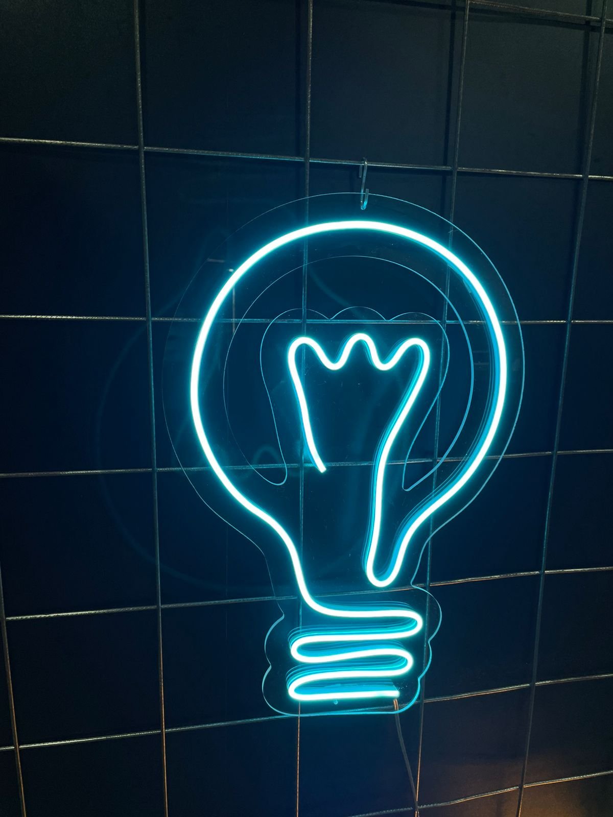 Luminária NeonLed Iluminação - LÂMPADA - 30x50cm | Atacado neon