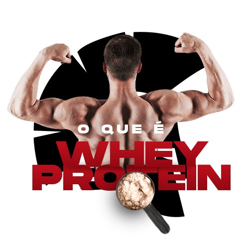 Whey Protein Concentrado: O que é? Qual é melhor? Quais Benefícios ... Whey Protein Concentrado: O que é? Qual é melhor? Quais Benefícios ...