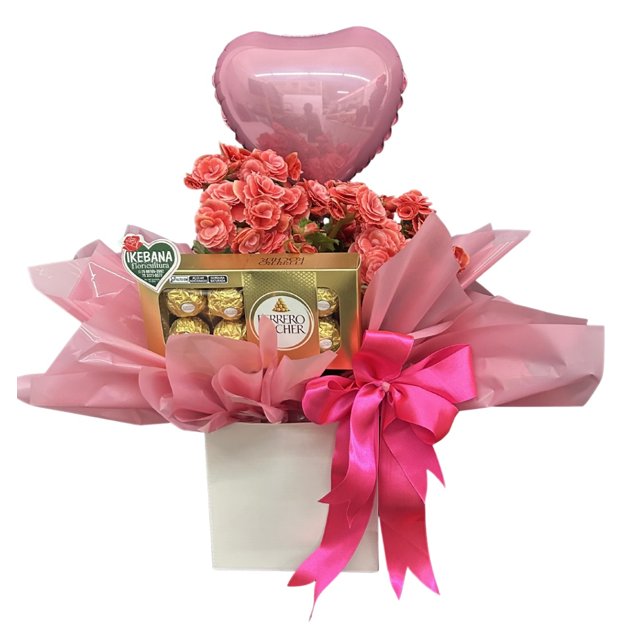 BEGÔNIA DECORADA BALÃO E FERRERO T8 | Ikebana Floricultura