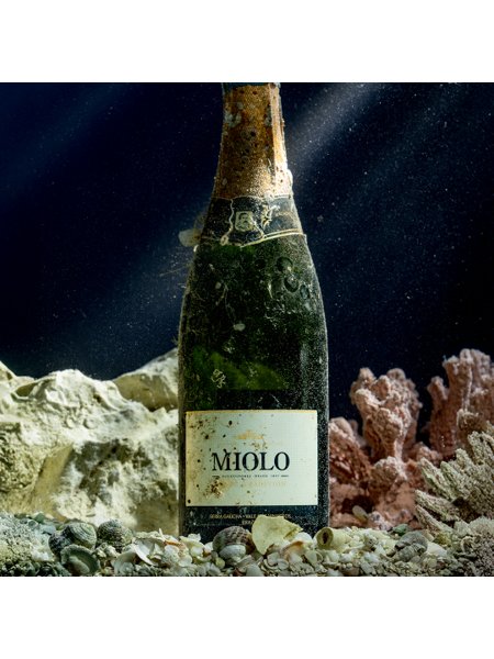 Vinho Miolo Quinta do Seival Castas Portuguesas 750 ml - 2022 | Miolo