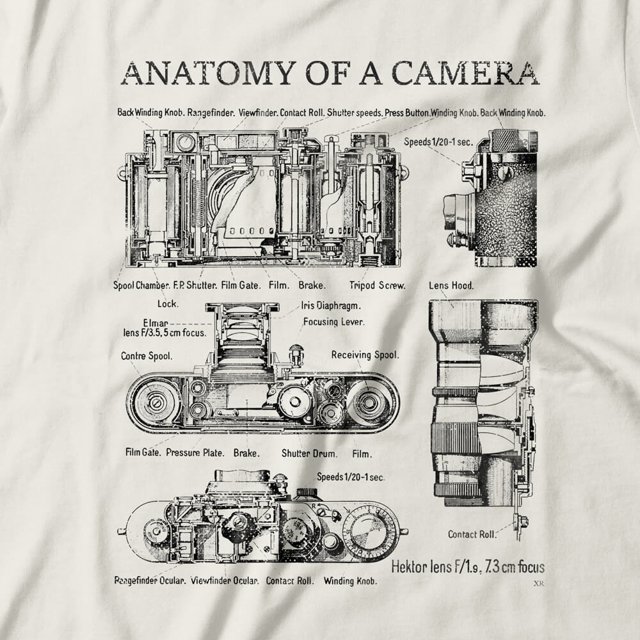 Anatomy Feminina Of A Camera | Studio Geek | Studio Geek
