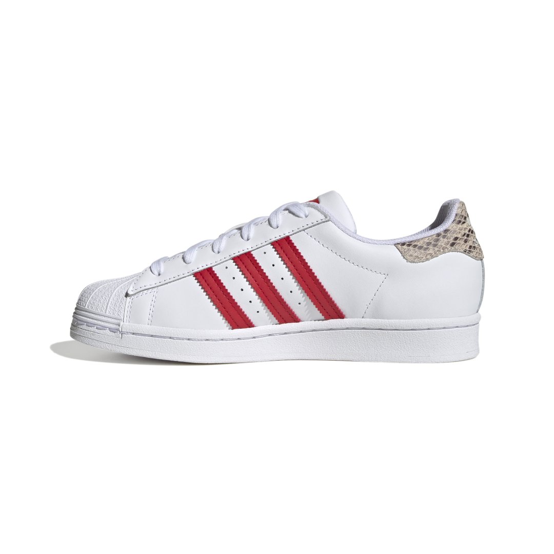 TENIS ADIDAS SUPERSTAR | Bulldog Store