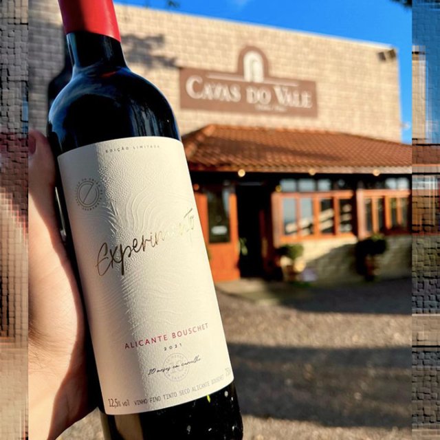 CAVAS DO VALE EXPERIMENTO Alicante Bouschet 2021 | vinato.br