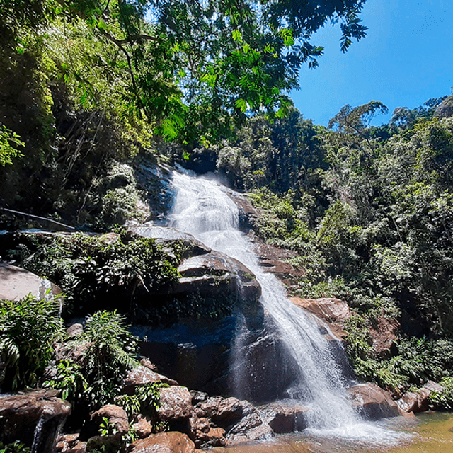 Floresta da Tijuca | Rio 40º Turismo Receptivo | Passeios no Rio de Janeiro
