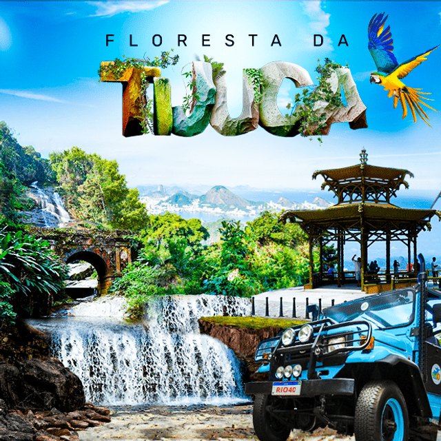 Floresta da Tijuca | Rio 40º Turismo Receptivo | Passeios no Rio de Janeiro